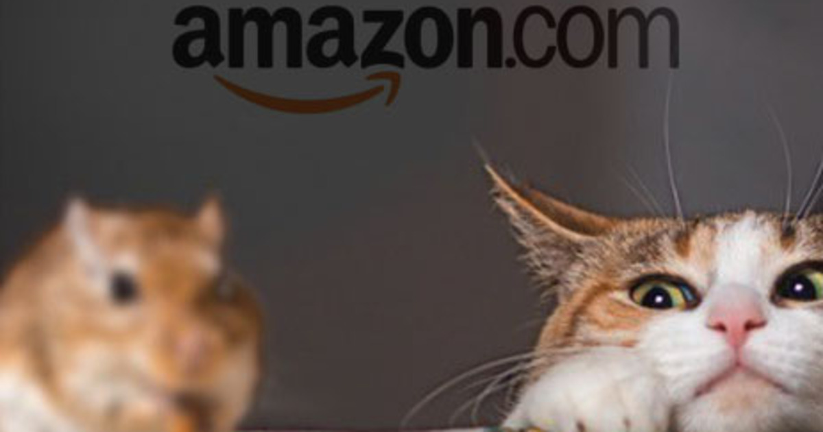 Defending Your Business Against Amazon: 3 Questions You Need to Ask ...